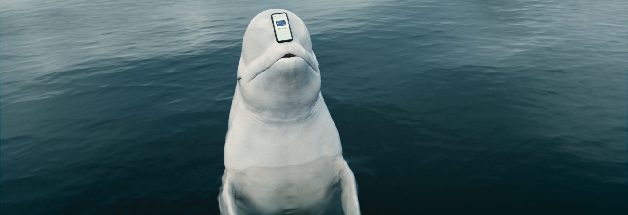 VFX - Untold Studios